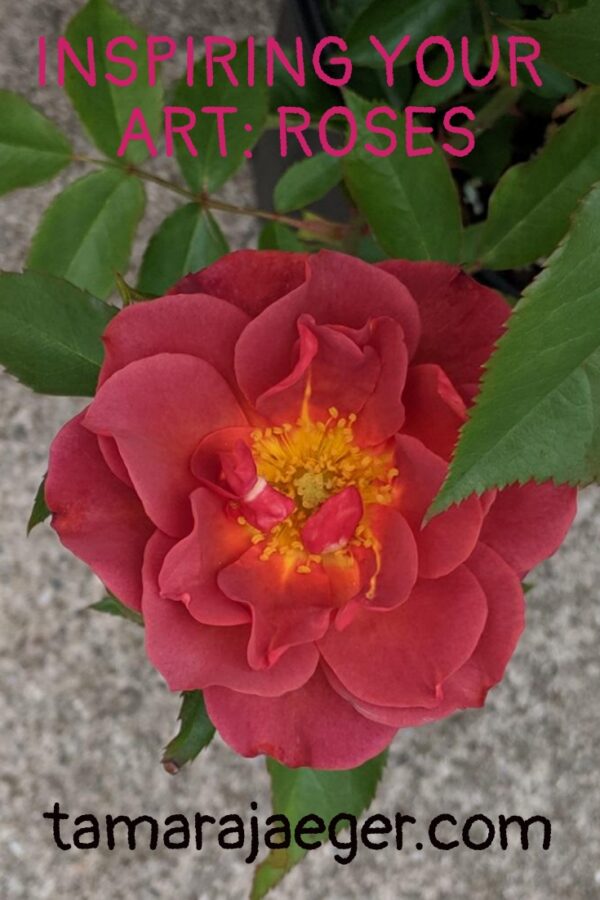 Inspiring Your Art: Roses - Tamara Jaeger Fine Art